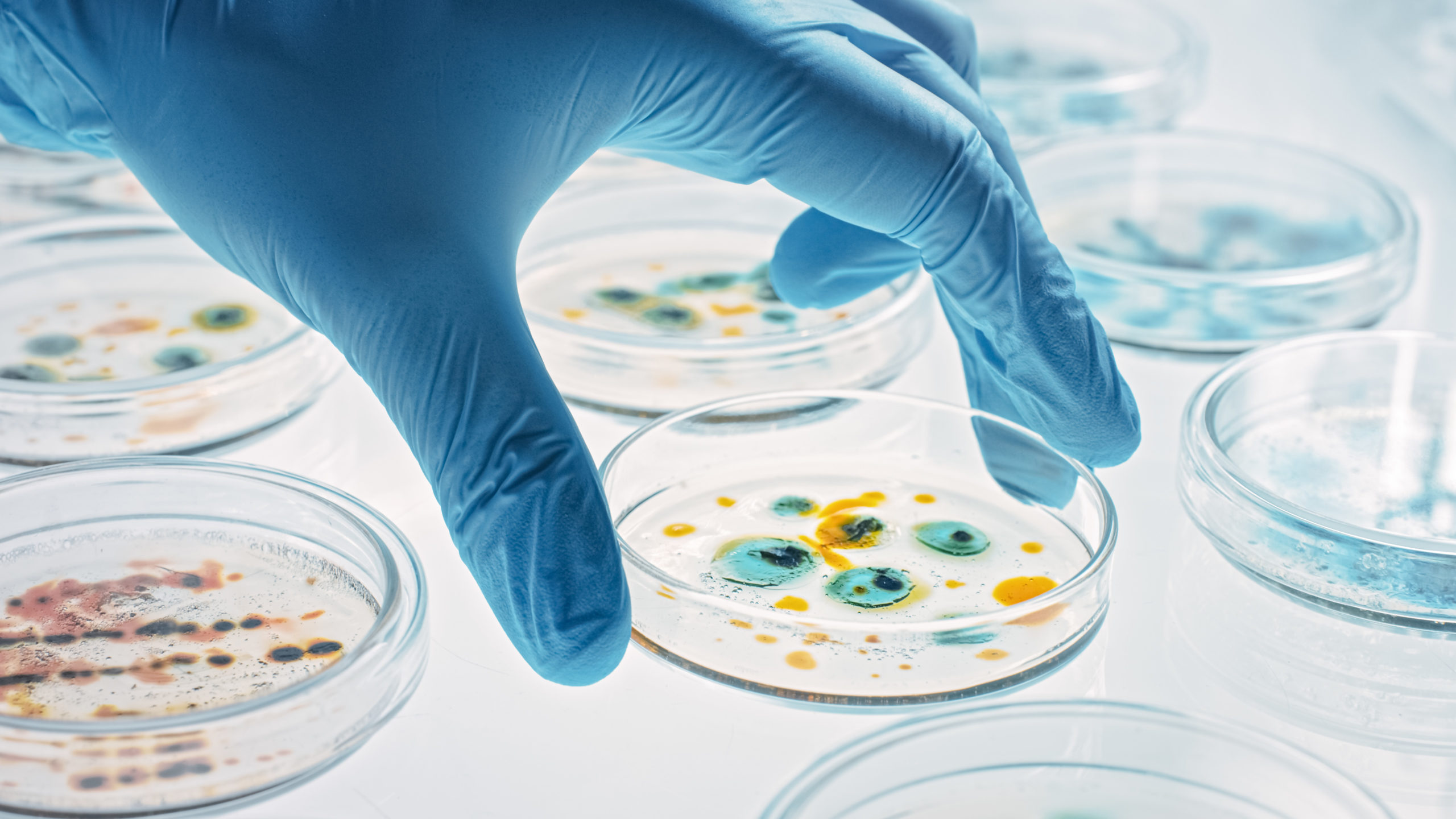 Celdara Medical and Global Virus Network Announce Collaboration to ...